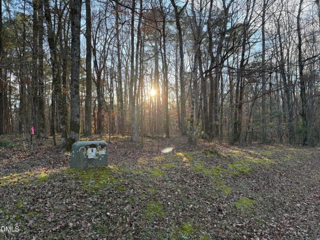 0 Woodland Rd, Littleton, NC 27850 | MLS #10137