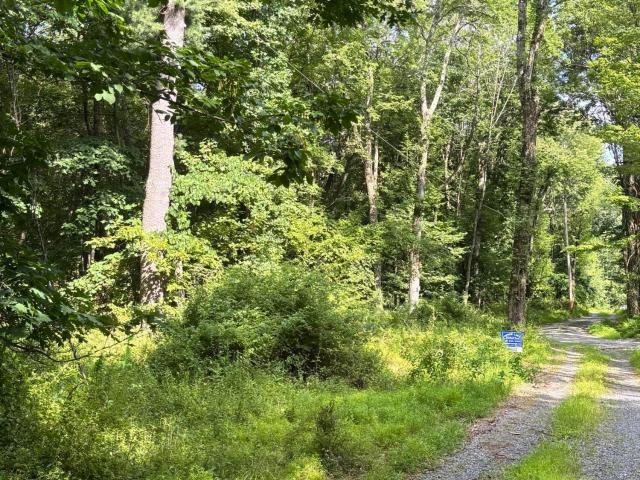 0 Woodland Road