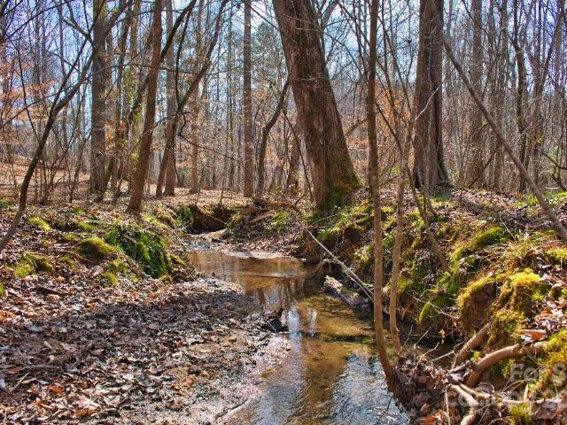 0 Woodstock Ln, Unit 170, Rutherfordton, NC 28139 | MLS #4100 | Compass