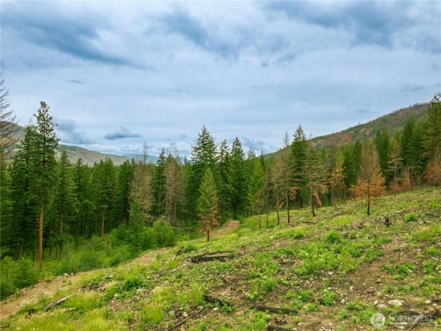 0 Wolf Creek Rd, Winthrop, WA 98862 | MLS #2492