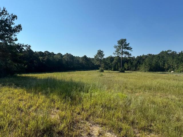 0 Wolf River Road