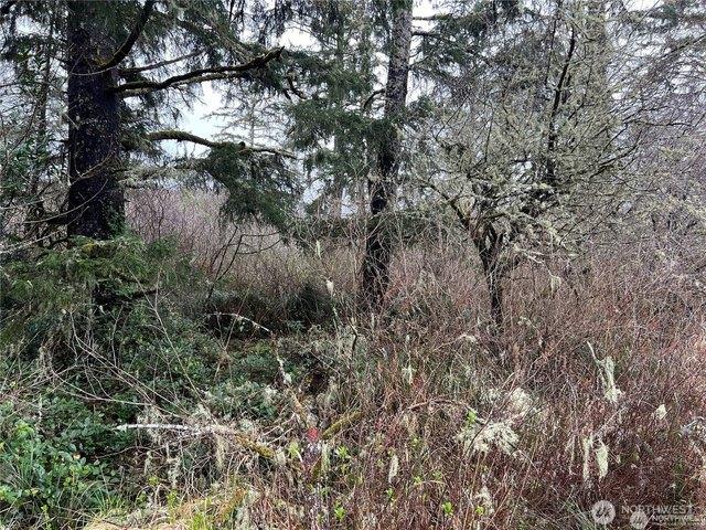 0 X 102nd Pl Lot 6 7, Long Beach, WA 98631