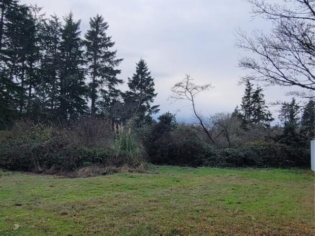 0 Y Ln, Ocean Park, WA 98640 | MLS #2460 | Compass