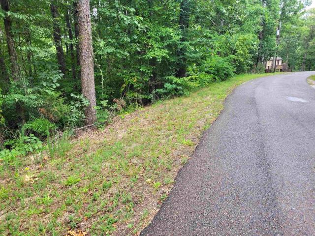 0 Yeager Ln, Counce, TN 38326 | MLS #10179 | Compass