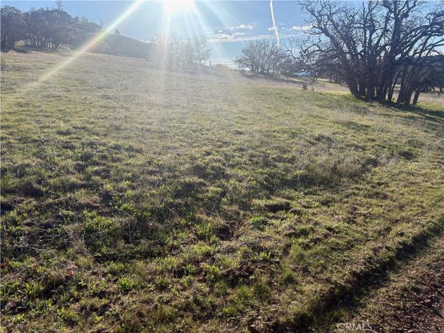 0 Yellow Dog Trail