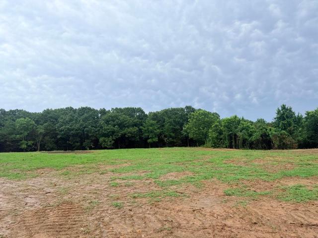 0 young cemetary rd