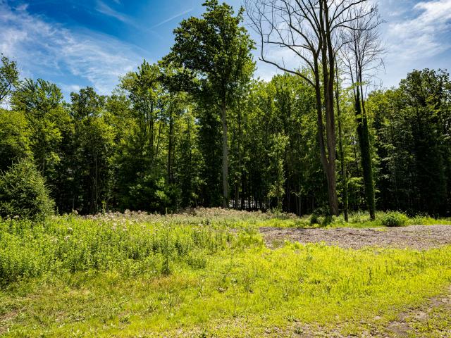 0 Youngren Road, Three Oaks, MI 49128 | MLS #25011