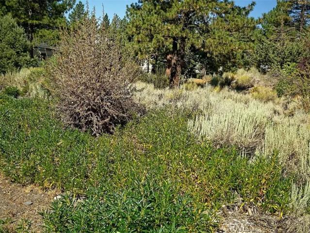 0 Zermatt Dr, Wrightwood, CA 92397 | MLS #HD25181