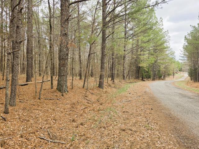 0 Zig Zag Rd, Big Sandy, TN 38221 | MLS #3145 | Compass