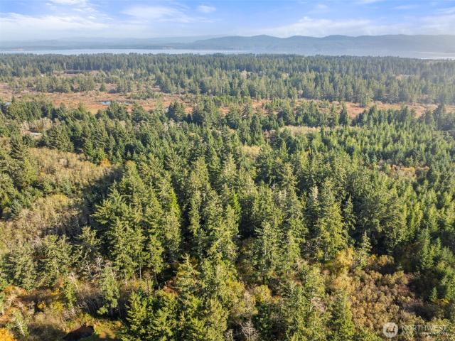 0 147th Pl, Long Beach, WA 98631 | MLS #2452