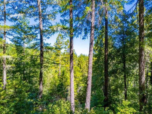 0 16125 Honey Ridge Rd, Boonville, CA 95415 | MLS #325103