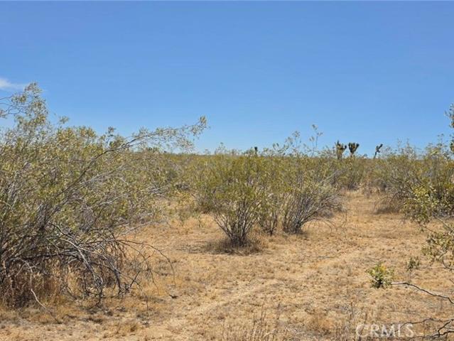 0 187th / Avenue, Llano, CA 93544 | MLS #SR26072