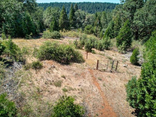 0 18880 Amador Ave, Pioneer, CA 95666 | MLS #225112