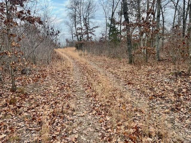 0 125.87ac Tract A 2 Clear Creek Rd, Richwoods, MO 63071 | MLS #24075