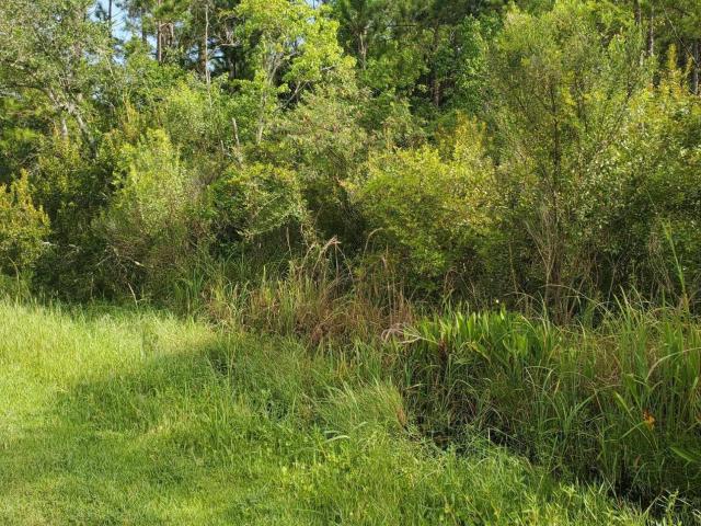 0 1st Ave, Bay St. Louis, MS 39520 | MLS #4083