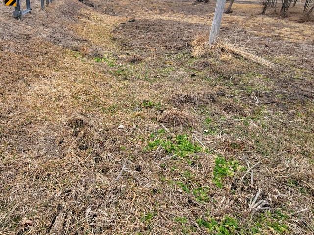 0 2401st Rd N, Ottawa, IL 61350 | MLS #12614