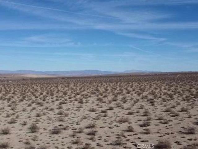 0 29 Palms