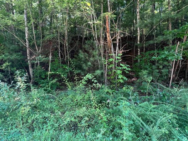 0.22 ac Hickory Hollow Rd