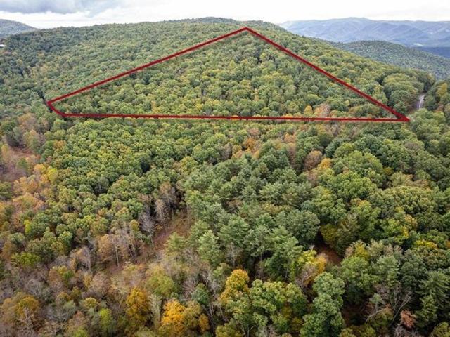 0 22 72 Ac Dry Run Rd, Sugar Grove, WV 26815