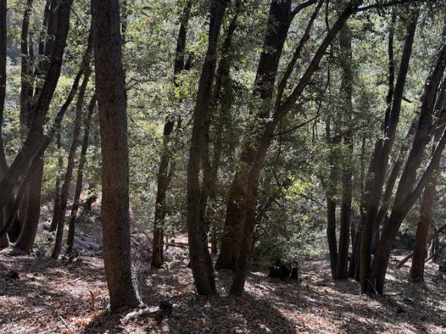 0 343 061 27, Cedarpines Park, CA 92322 | MLS #HD25031
