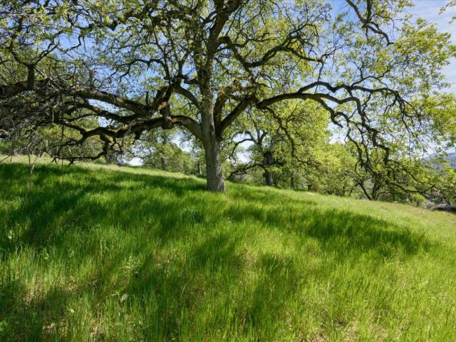 0 3460 Almosta Rd, Placerville, CA 95667 | MLS #226027 | Compass