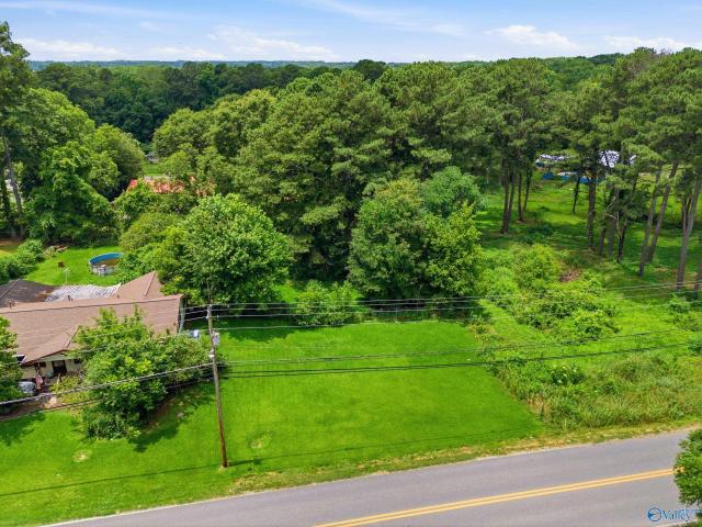 0.35 Acres Alabama Highway 205 S