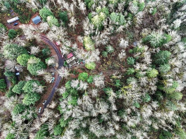 0 381300002 th, Gold Bar, WA 98251 | MLS #2456