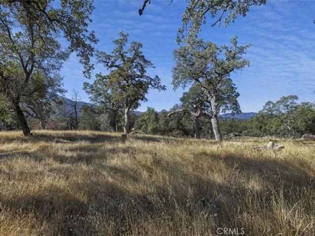 0 39 29 Ac Village Dr, Oakhurst, CA 93644
