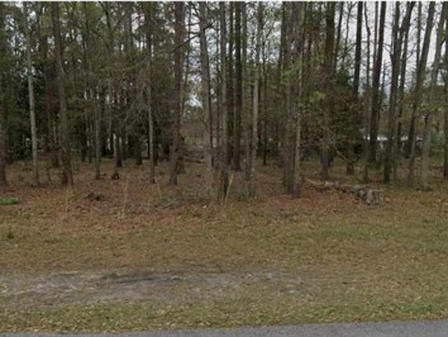 0 3 Hazel St, Walterboro, SC 29488