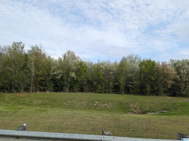 0 4 acres highway 21 # 0