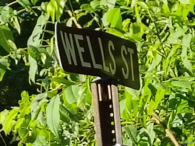 0.59 acres Wells Street