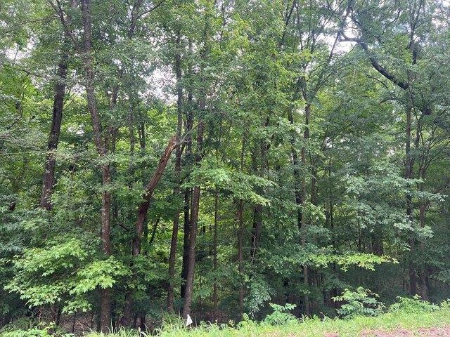 0.5 Ac Salishan Dr, Halifax, VA 24558