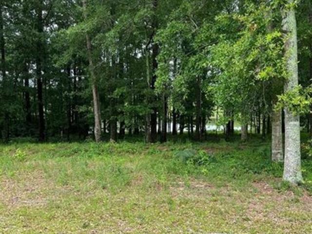 0.77 Ac Private Road 1601, Chancellor, AL 36316