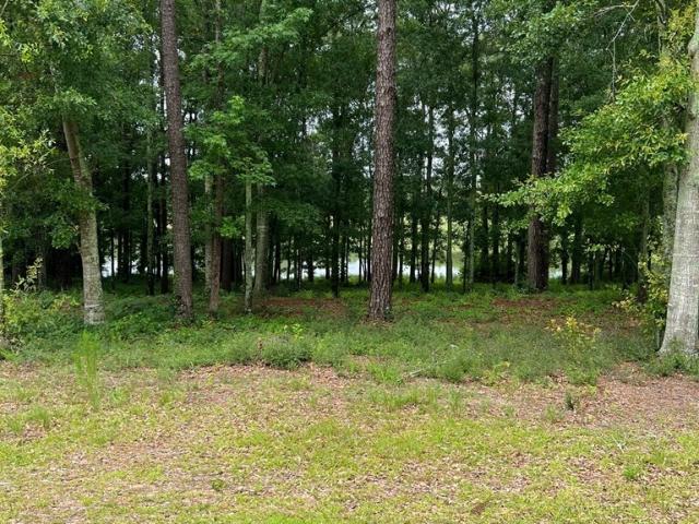 0.77 ac Private Road 1601
