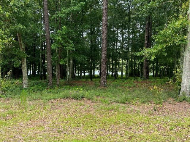 0.77 ac Private Road 1601