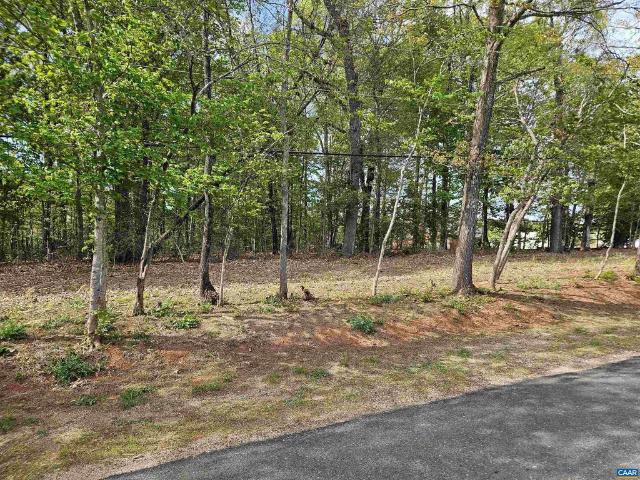 0.73 Ac N James Madison Hwy
