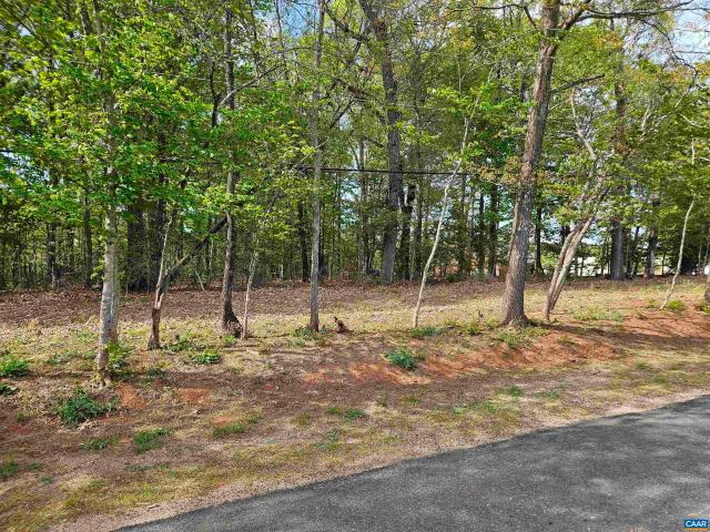 0.73 ac james madison hwy n