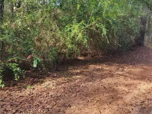 0 7TH AVENUE, THEODORE, AL 36582 Single Family Residence For S.