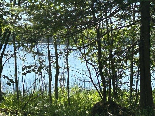 0.94 Ac S Wegwas Dr, Trout Lake, MI 49793
