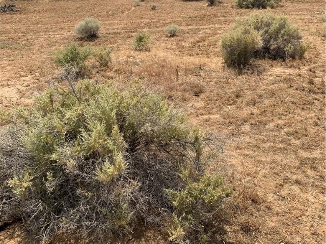 0 91st St, California City, CA 93505 | MLS #HD24100