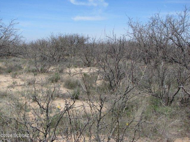 0 93AC Unnamed Rd Unit 10, Cochise, AZ 85606