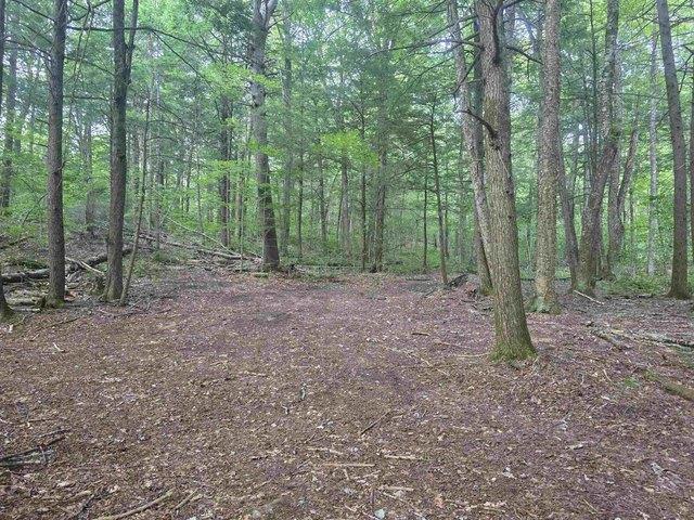 0FF Robin Hill Rd, Townshend, VT 05359