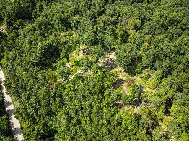 0LIVE Highway 1620, KY 41164