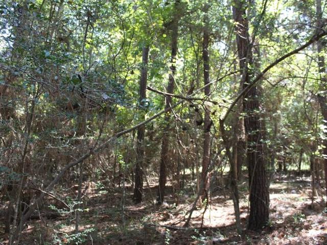 0magnolia, Trinity, TX 75862