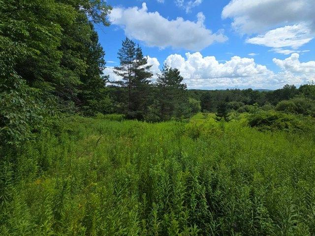 0WP Summit Lake Rd, Edmeston, NY 13315