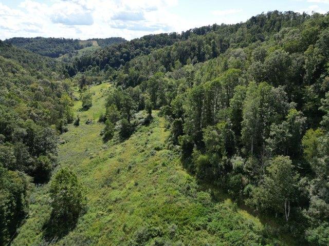 0/TBD Right Loveberry Rd, Weston, WV 26452