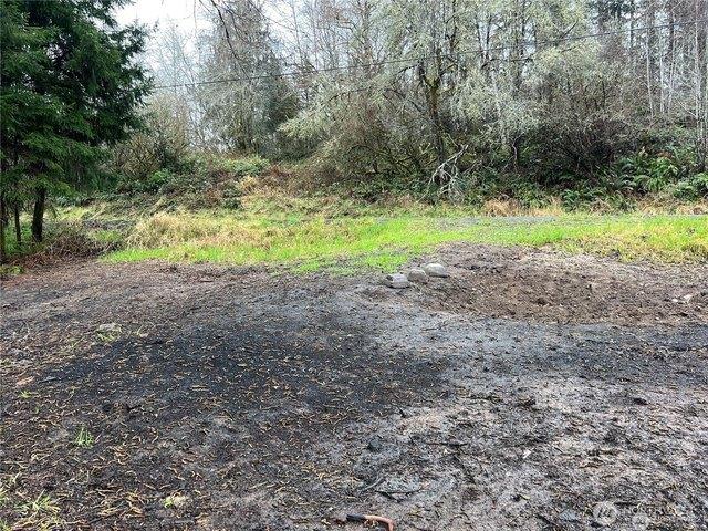 0X Willapa Rd Lot TRACT41, Raymond, WA 98577