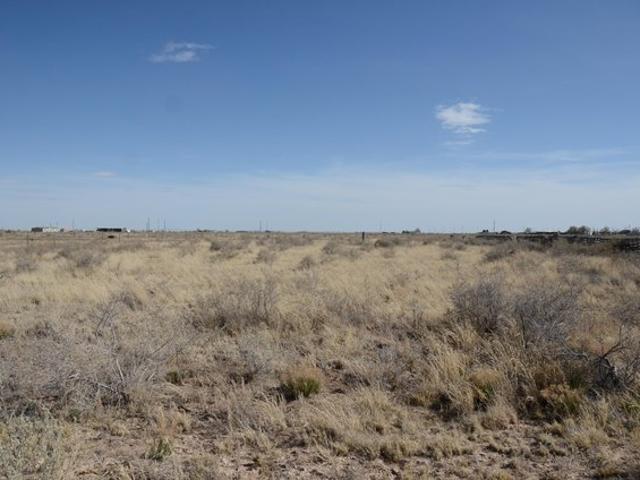 0XX Goldrina, McIntosh, NM 87035