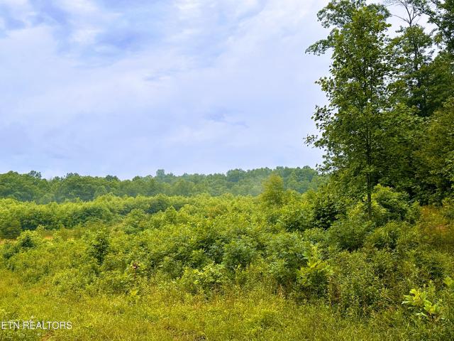 13.44 Chestnut Ridge Rd