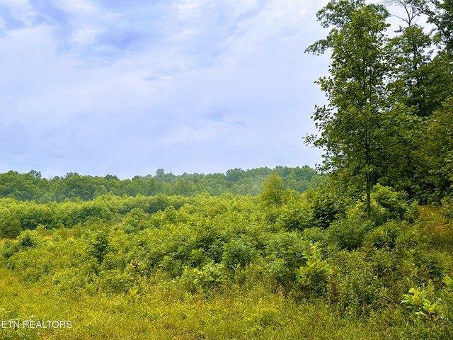 13.44 Chestnut Ridge Rd, Allardt, TN 38504